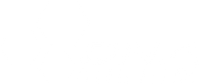 Collections – dnaathletix