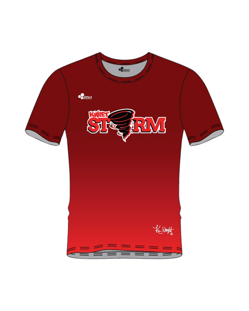 STORM ICON PERFORMANCE TEE (2 COLORS) – dnaathletix